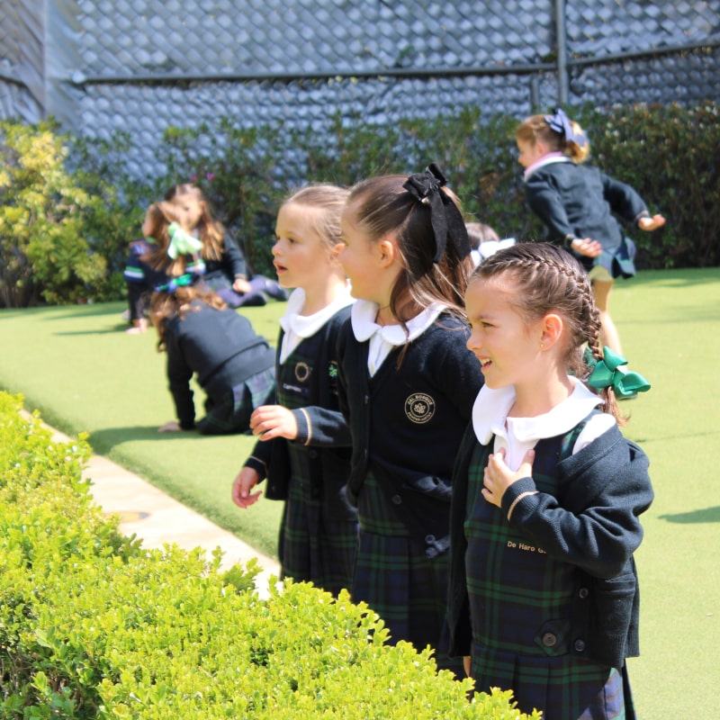 Conoce nuestra institución | Del Bosque México 📚